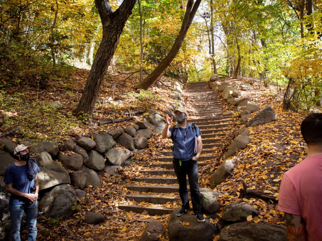 City of Forest Day: A History of Brooklyn's Last Remaining Forest ...