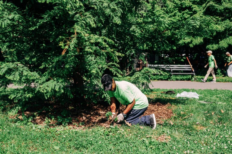Volunteer in Prospect Park - Prospect Park Alliance