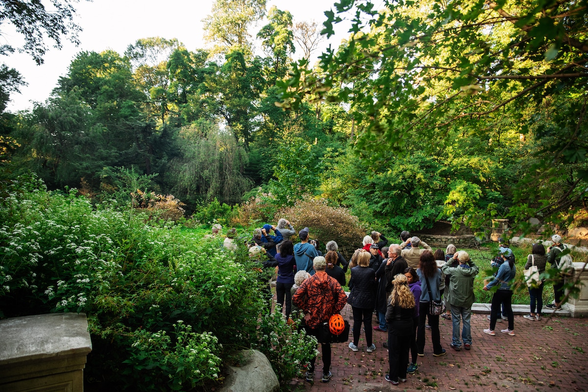 Soar Into Fall Migration in Brooklyn’s Backyard - Prospect Park Alliance