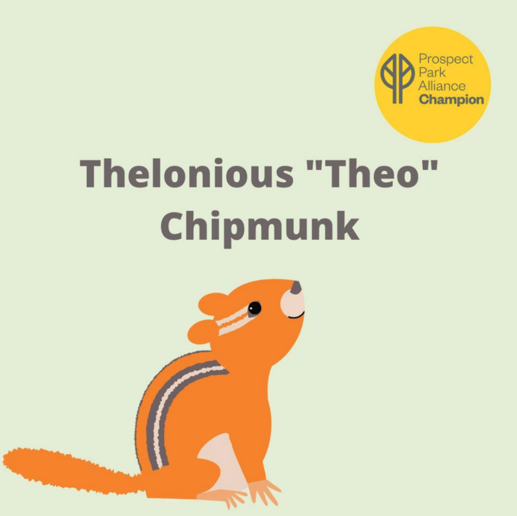 Meet the Park Champion Mascot: Thelonious "Theo" Chipmunk - Prospect ...