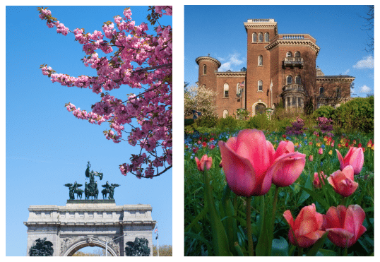 Must See Spring Bloom Destinations - Prospect Park Alliance