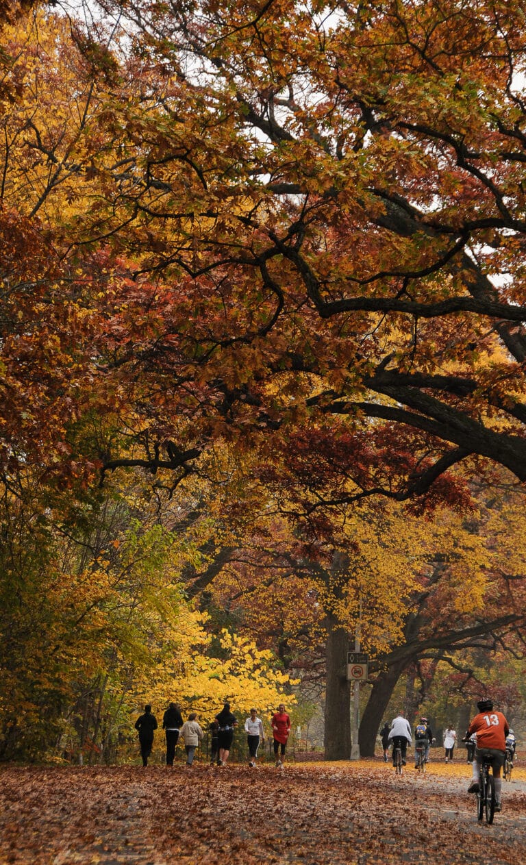 Parade Ground - Prospect Park Alliance