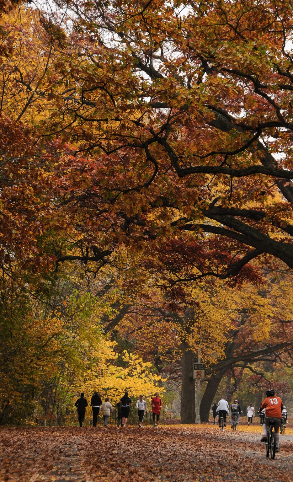 Parade Ground - Prospect Park Alliance