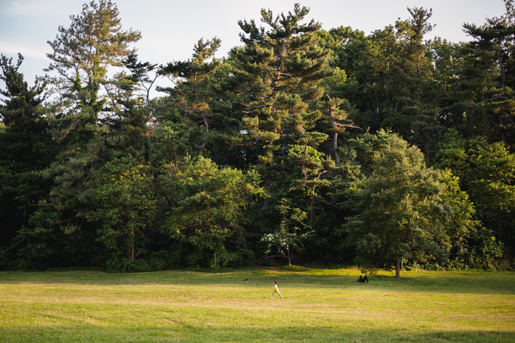Ribbon Cut on New Fallkill Trail in Prospect Park - Prospect Park Alliance