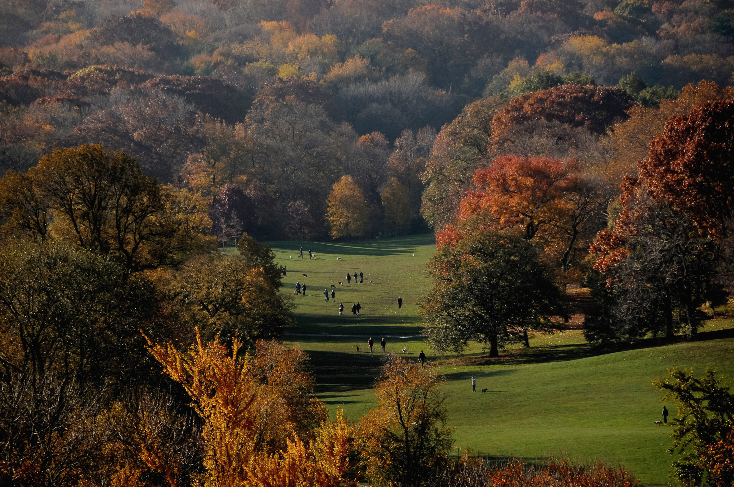 Prospect Park Alliance Wants to Hear From You! - Prospect Park Alliance