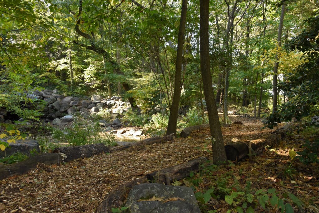 2023 Year in Review - Prospect Park Alliance