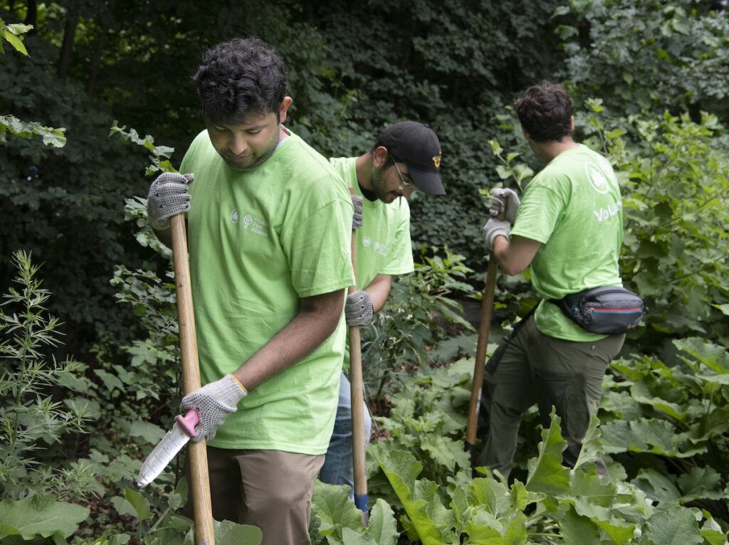 Home - Prospect Park Alliance