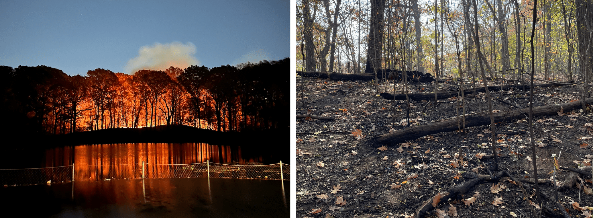 Prospect Park Fire Recovery: Next Steps - Prospect Park Alliance