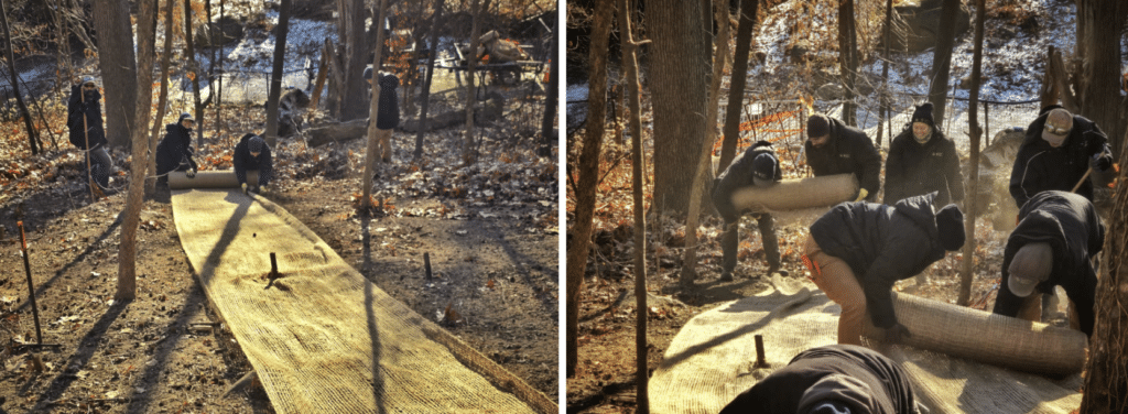 Alliance Begins Fire Site Restoration - Prospect Park Alliance