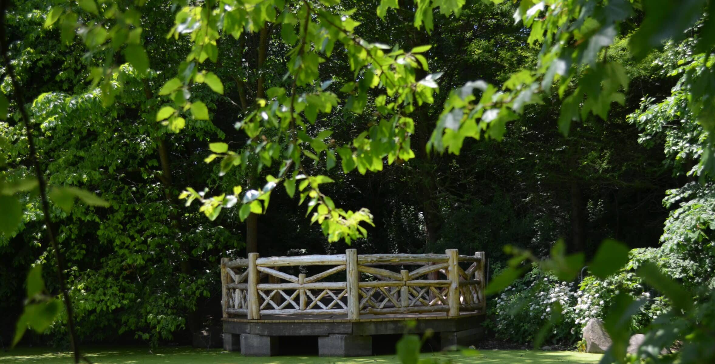 Scenic Lullwater Viewing Platform Restored - Prospect Park Alliance