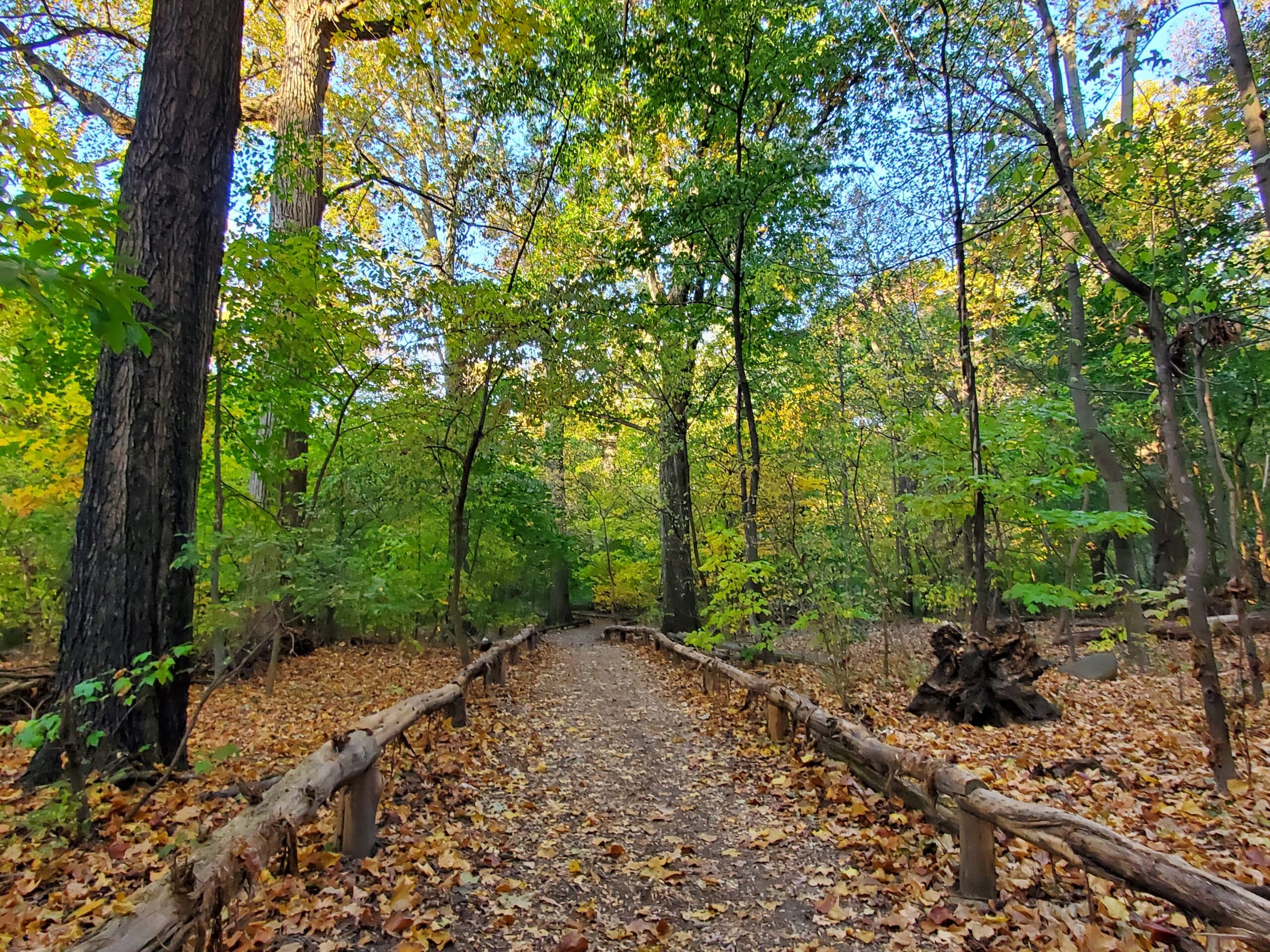Prospect Park Nature Trails - Prospect Park Alliance