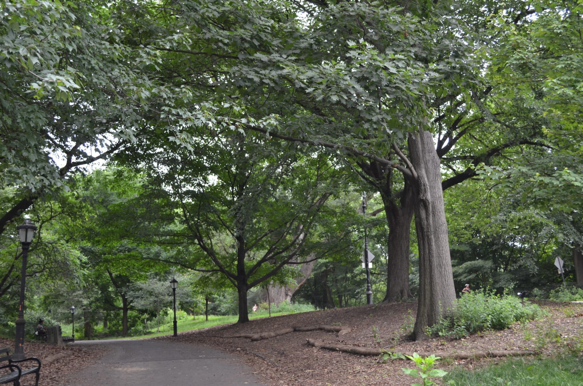 Home - Prospect Park Alliance