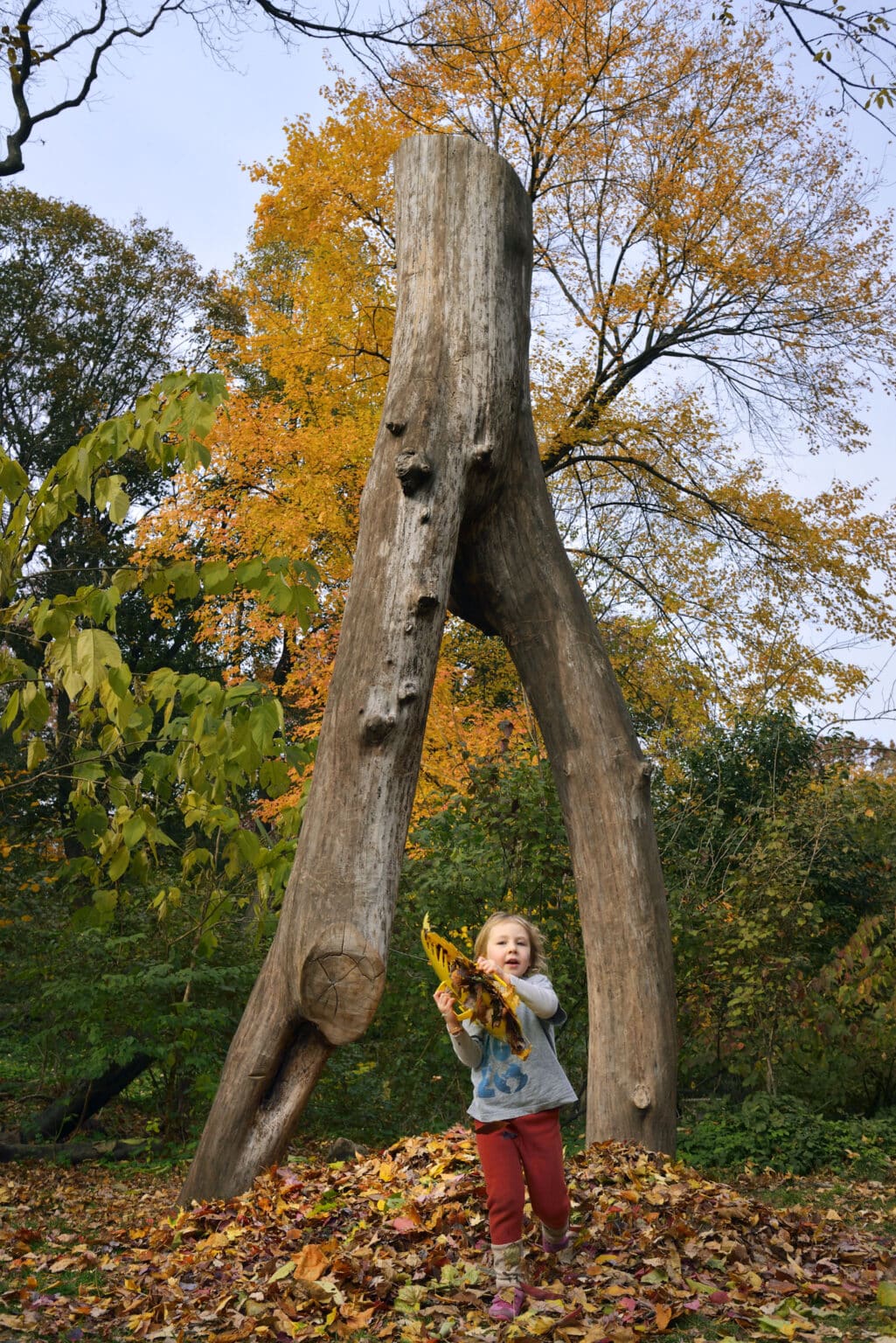 Nature Play’s New Era - Prospect Park Alliance