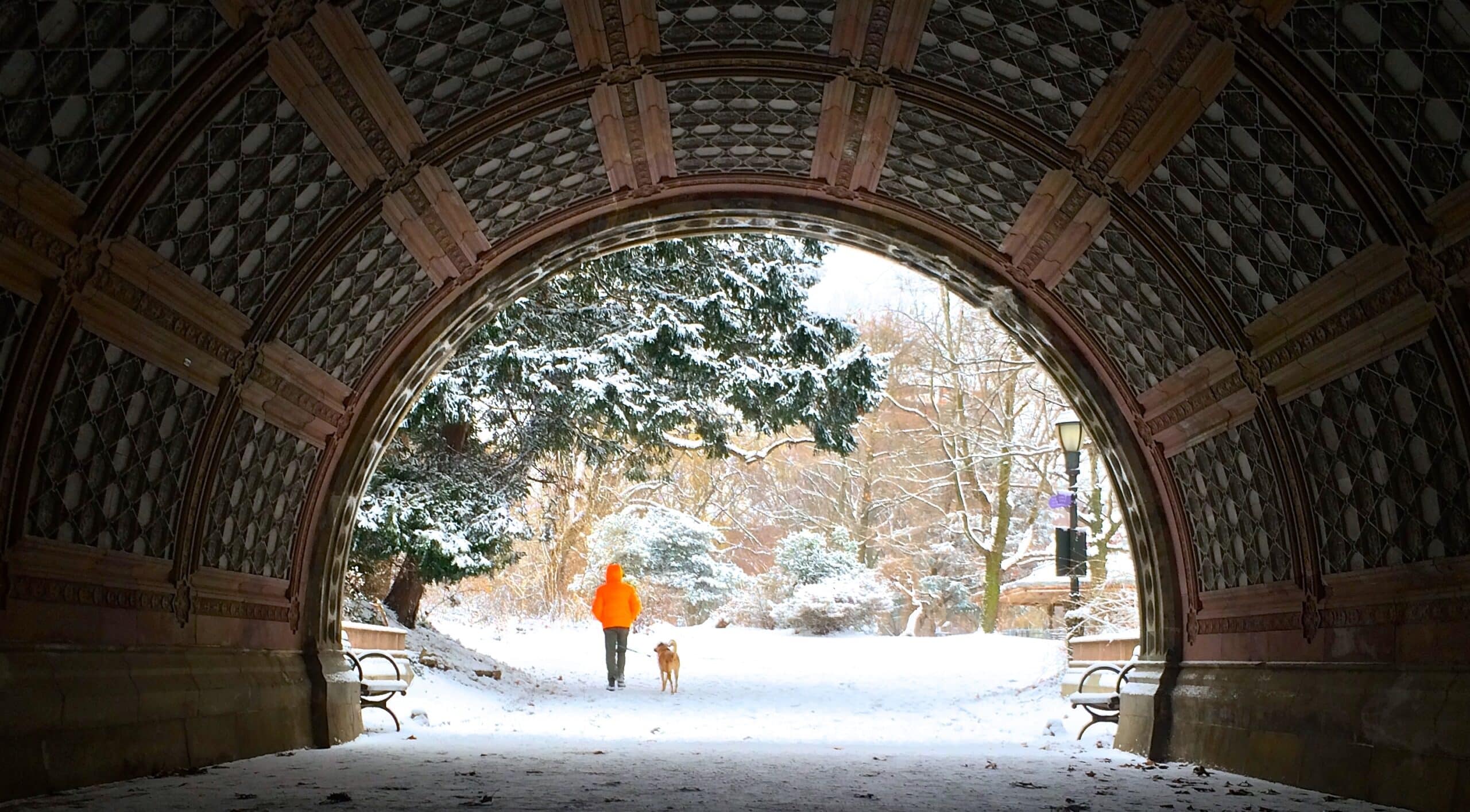 Things to Do - Prospect Park Alliance