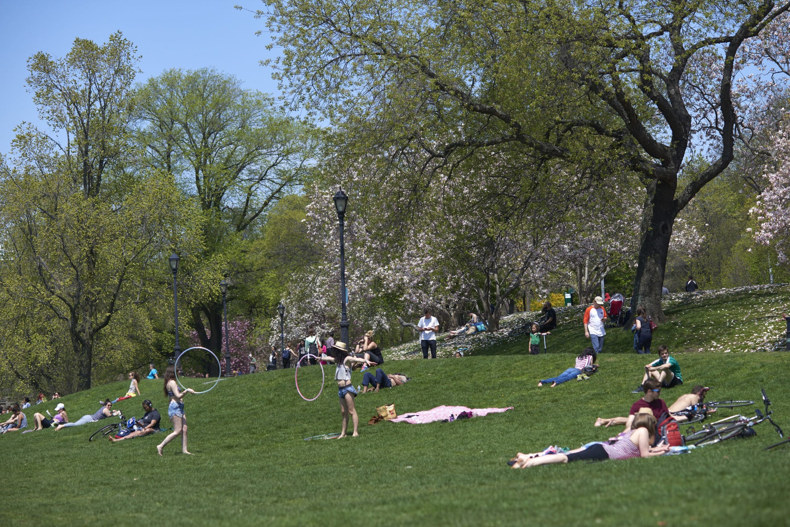 Summer Checklist - Prospect Park Alliance