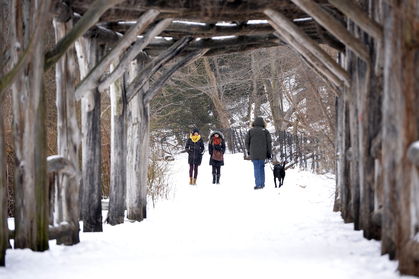 Running and Walking - Prospect Park Alliance