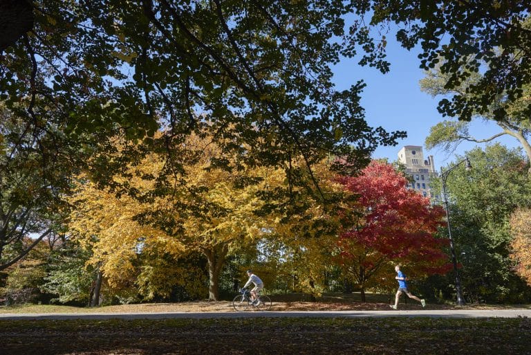 Take a Run in Prospect Park - Prospect Park Alliance