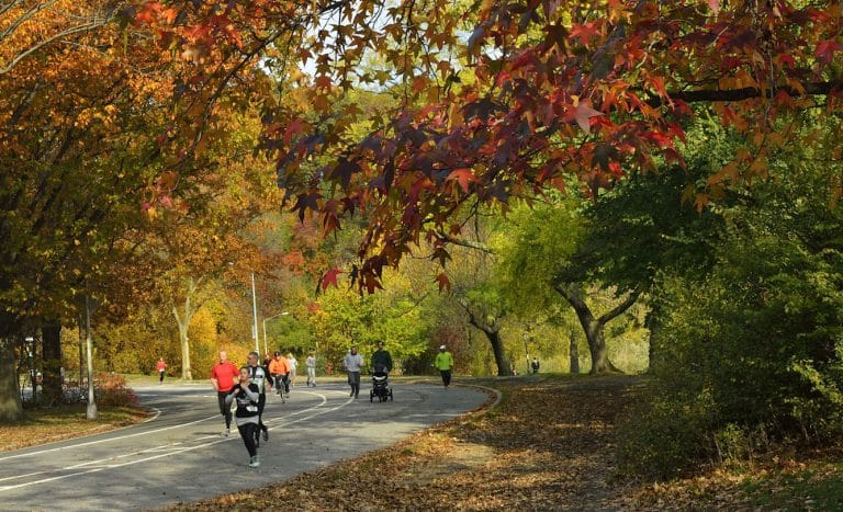 Running and Walking - Prospect Park Alliance