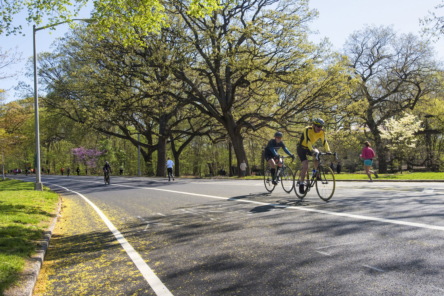 Things to Do - Prospect Park Alliance