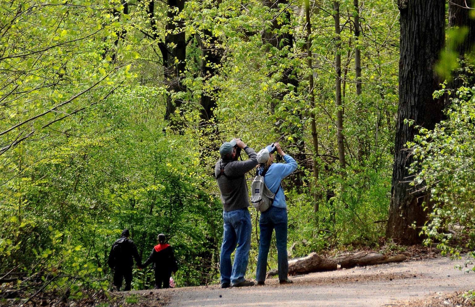 Fall Foliage Walk - Prospect Park Alliance
