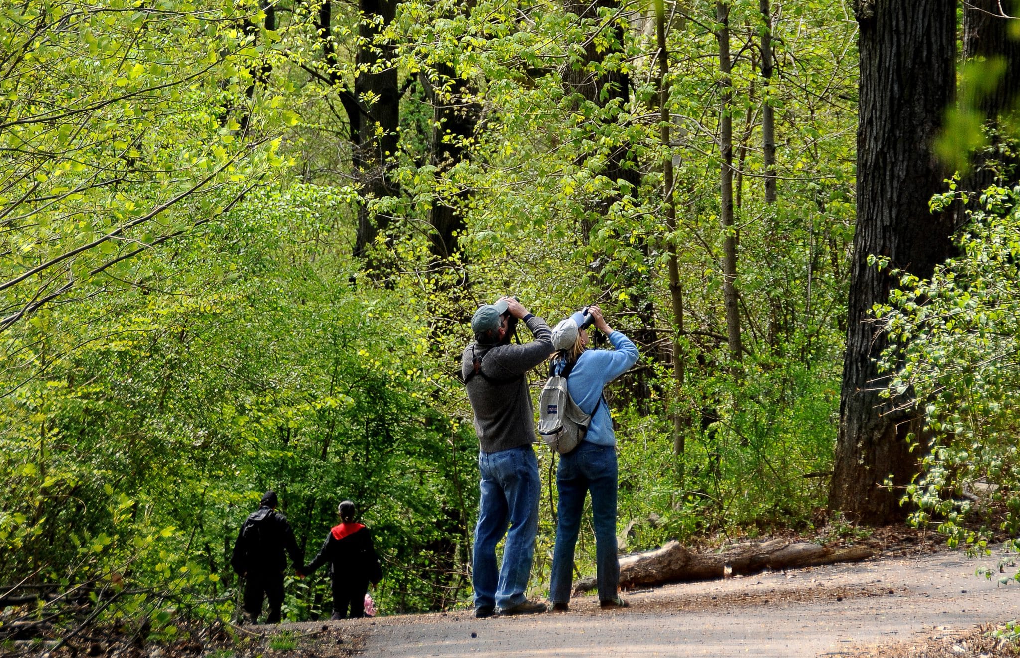 Fall Foliage Walk - Prospect Park Alliance