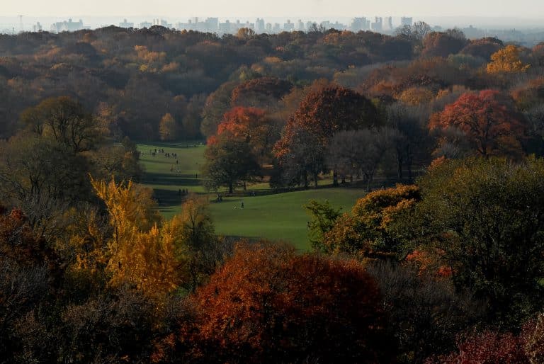 Running and Walking - Prospect Park Alliance