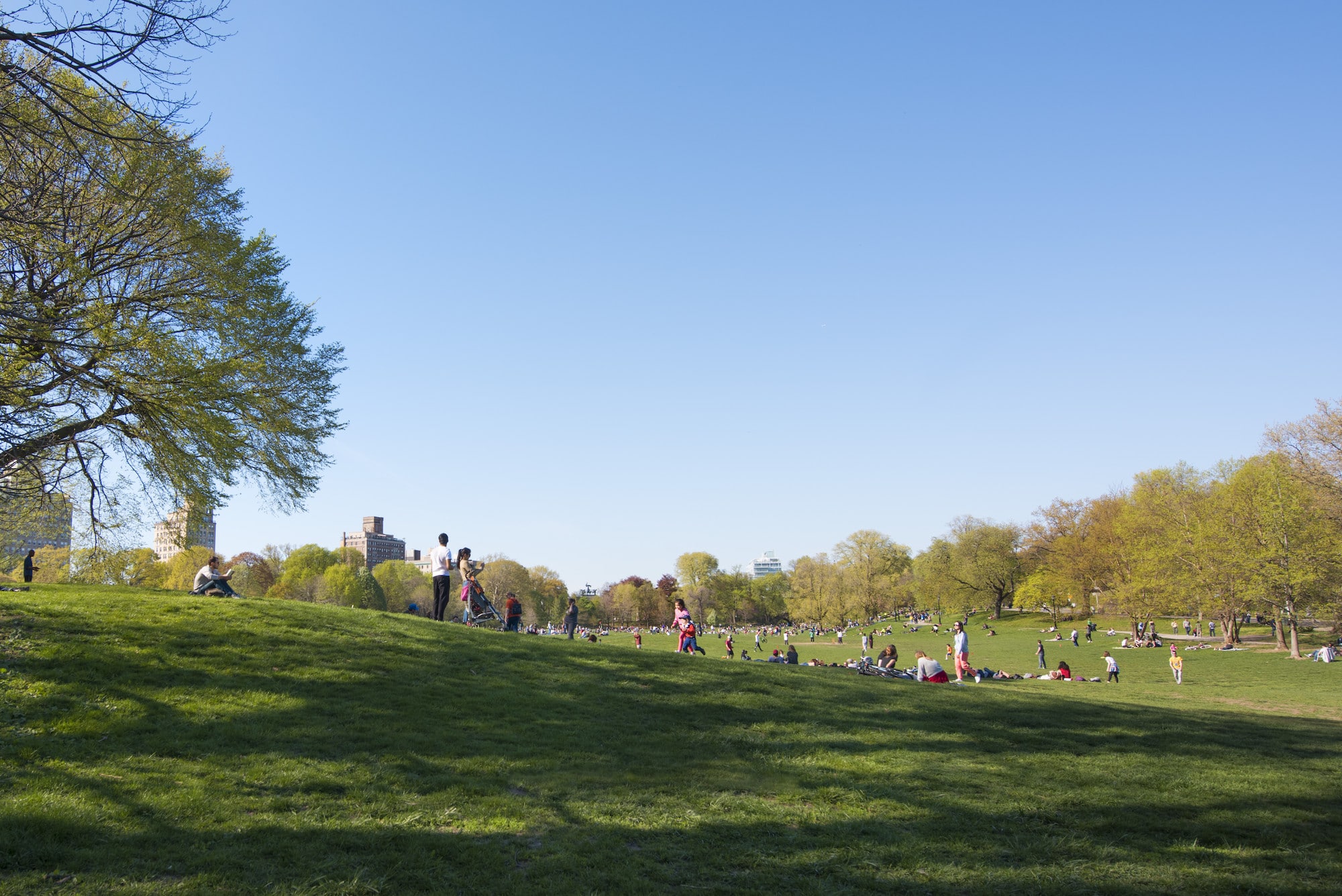 Volunteer in Prospect Park - Prospect Park Alliance