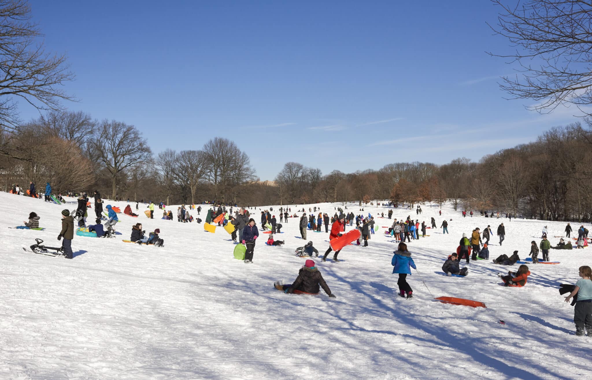 Home - Prospect Park Alliance