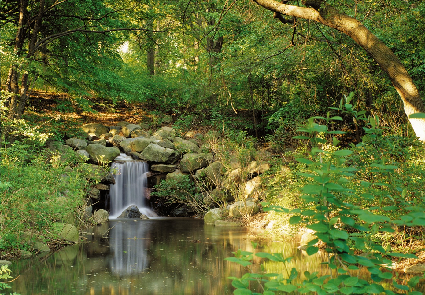 Nature in Prospect Park - Prospect Park Alliance