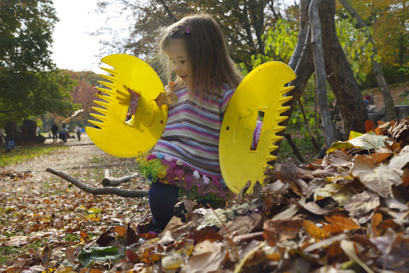 Nature Playtime! - Prospect Park Alliance