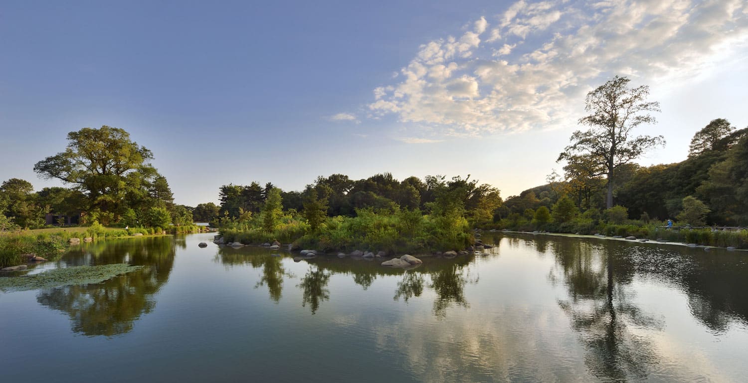 ecoWEIR In Action - Prospect Park Alliance