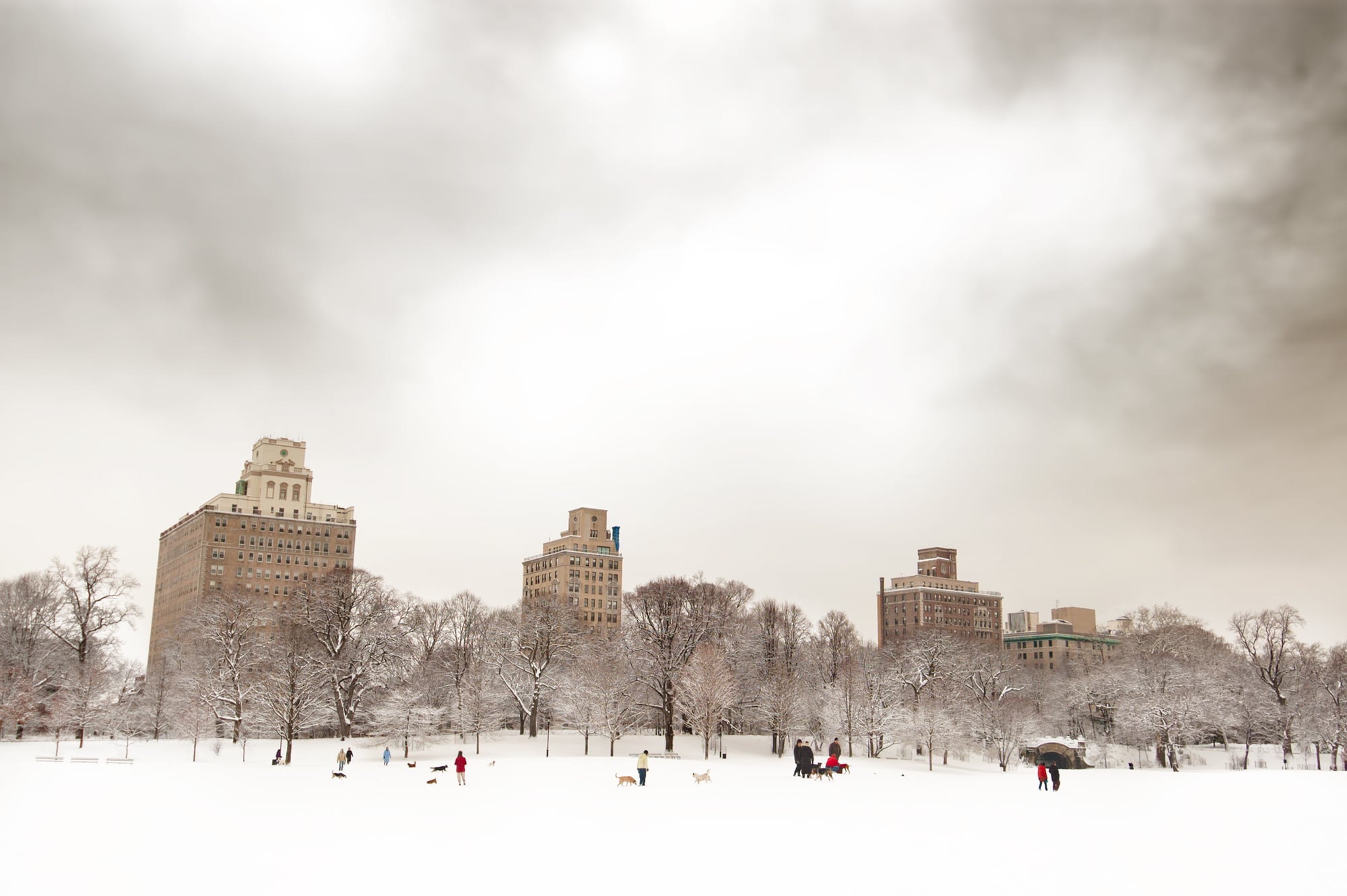 Winter Fun in Prospect Park - Prospect Park Alliance