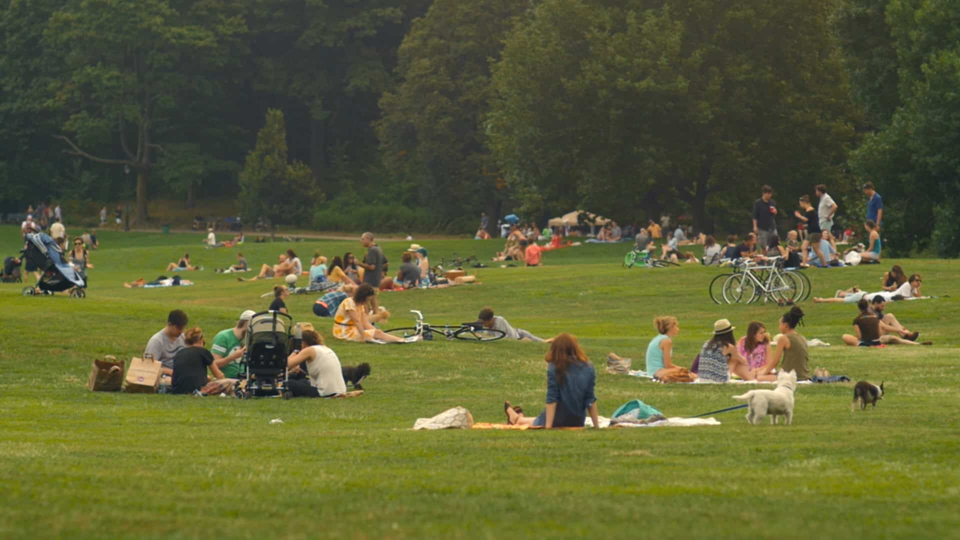 Summer's Best Spots - Prospect Park Alliance
